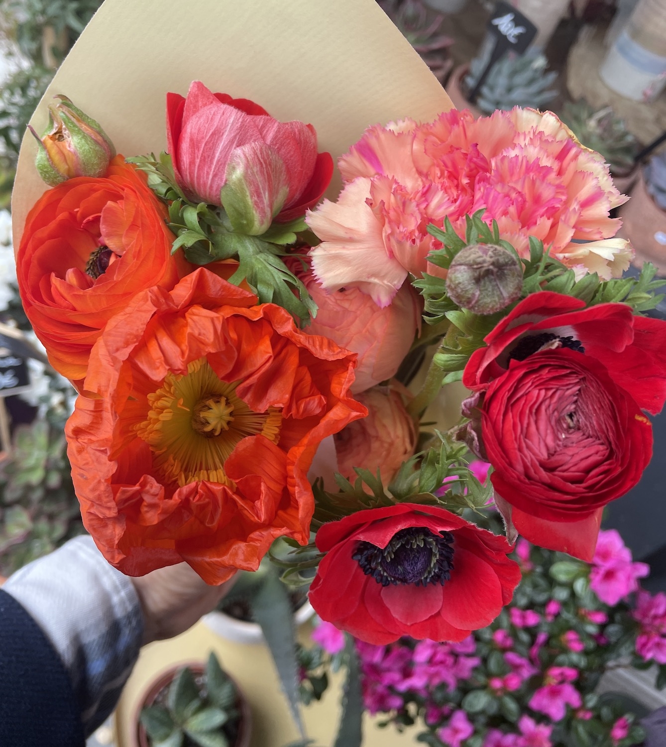 Franse taal: zo heten de 30 bekendste bloemen in het Frans