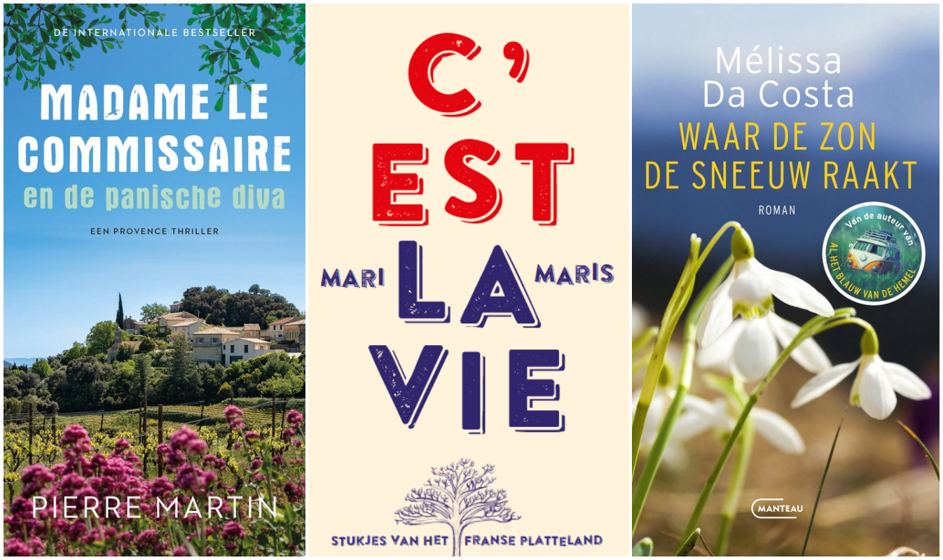 Nieuwe Franse boeken om in te verdwijnen - frankrijk.nl